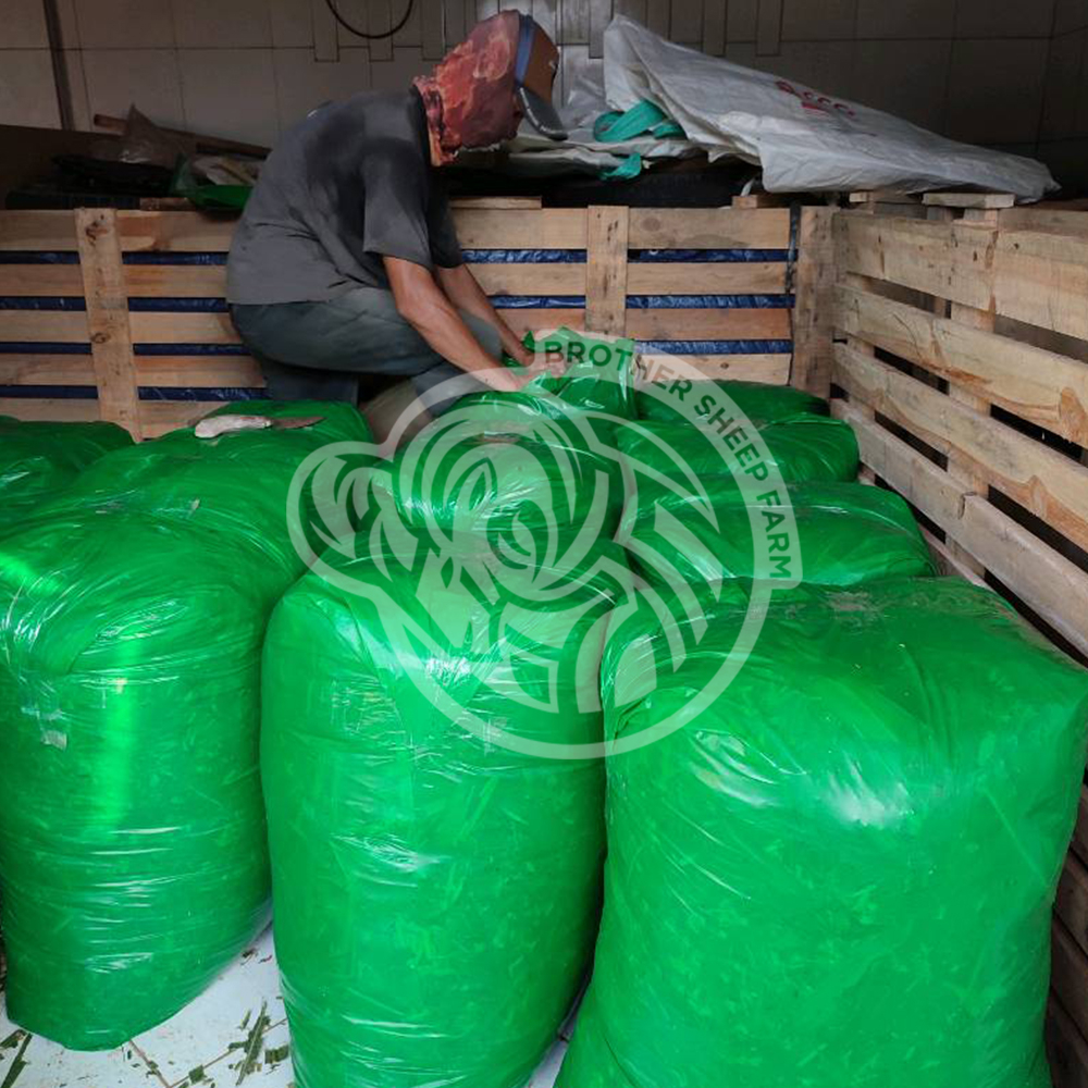 Jual 20 Lembar Plastik Silase 50 & 70 Mikron Untuk Fermentasi Pakan ...