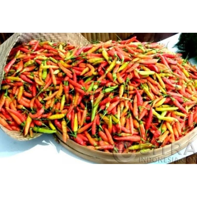 Jual Cabe Cabai Rawit Merah Fresh Segar | Shopee Indonesia