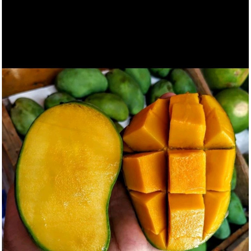 Jual Buah Mangga harumanis, Mangga harumanis (500g-1000g) | Shopee ...