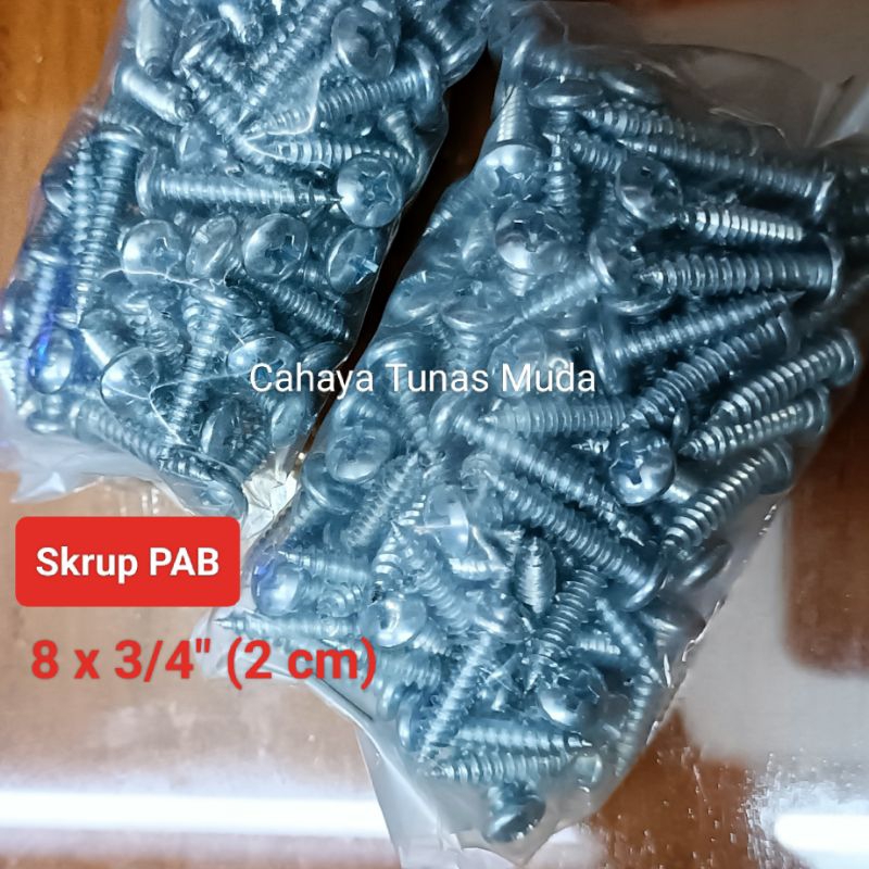 Jual Skrup PAB 8 x 3/4" (isi 100) Self Tapping Screws | Shopee Indonesia