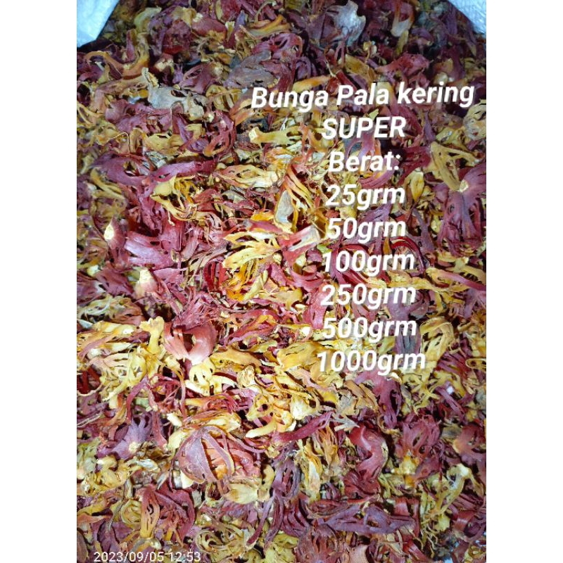 Jual Bunga pala kering Super | Shopee Indonesia