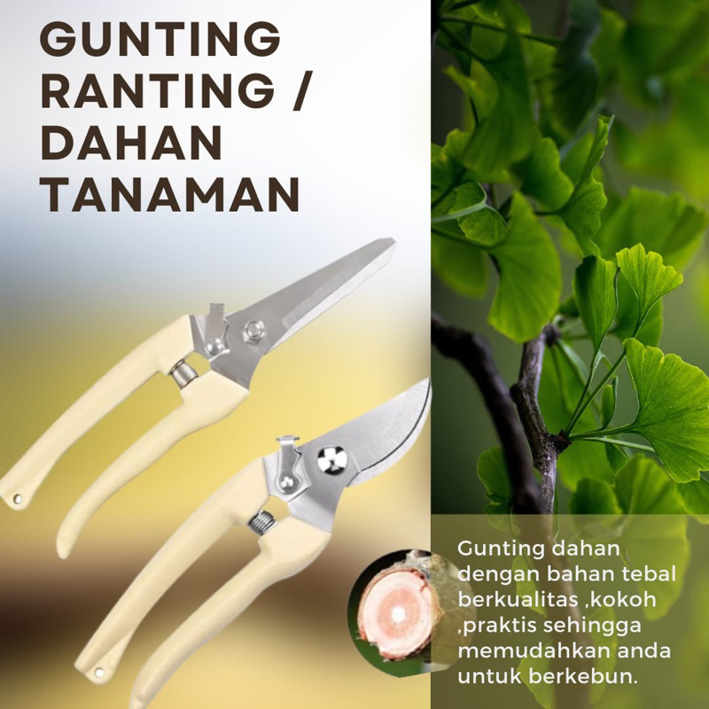 Jual Gunting dahan atau ranting tanaman Gunting Ranting Daun Tanaman ...