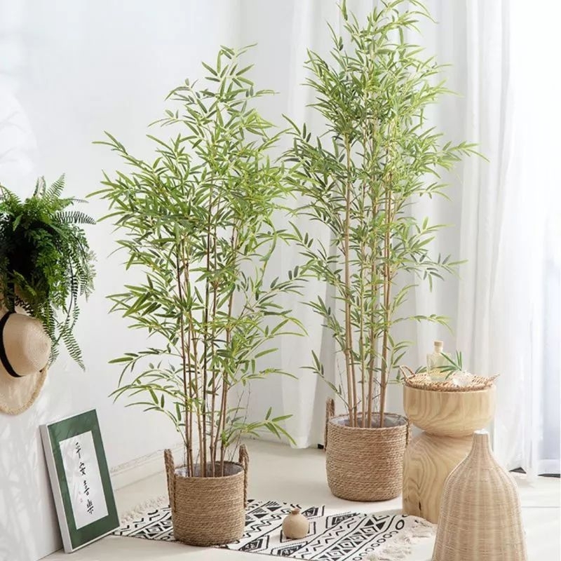 Jual READY STOCK Bambu Artificial 160cm / Bamboo Tree 160cm / Replika ...