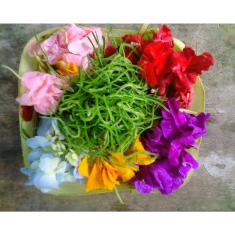 Jual Canang sari/ Canang Bali Sarana Sembahyang | Shopee Indonesia