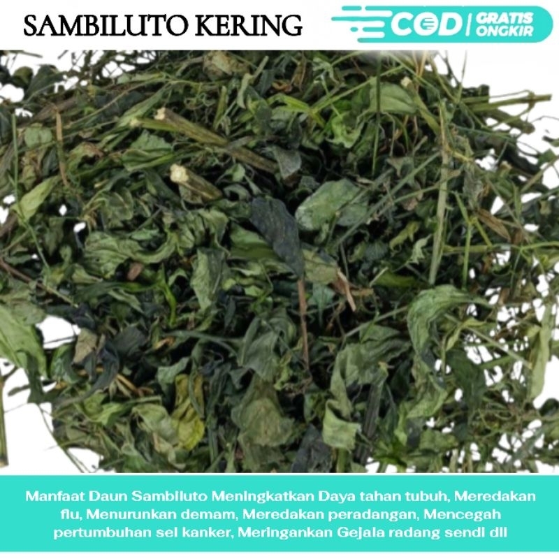 Jual RL SAMBILUTO/SAMBIROTO KERING 1KG | Shopee Indonesia