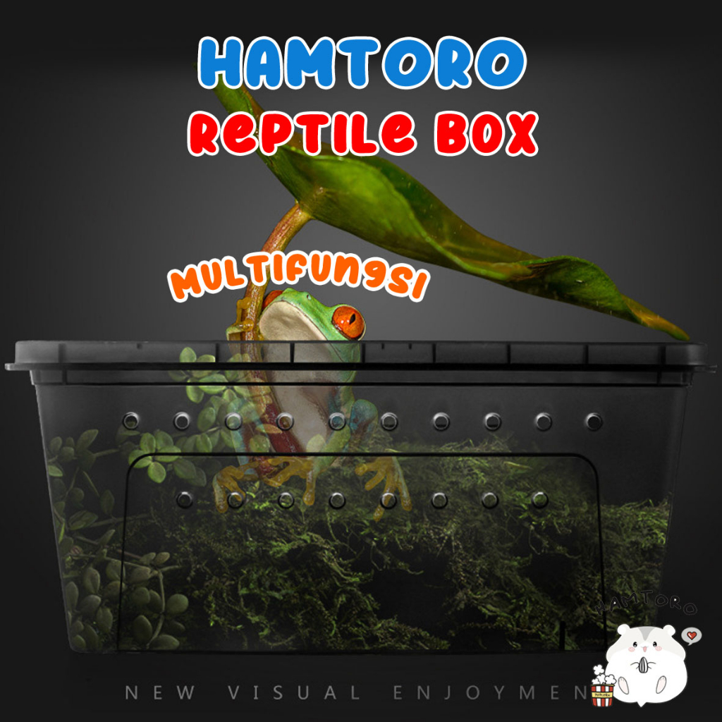 Jual Hamtoro Gecko Box Kandang Besar Feeding Hamster/Reptil/Gecko ...