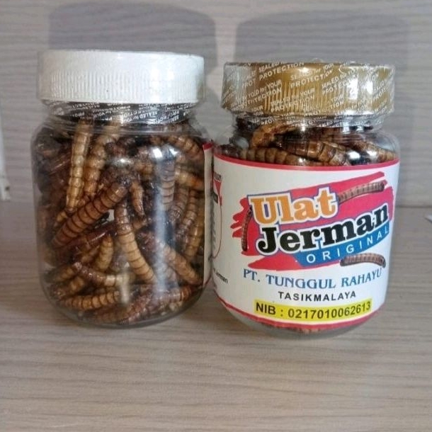 Jual ULAT Jerman kemasan kering | Shopee Indonesia