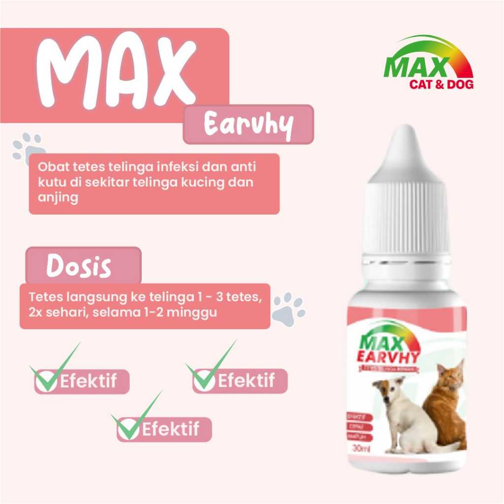 Jual Obat Telinga Kucing Anjing MAX EARVHY Obat anti kutu telinga dan ...
