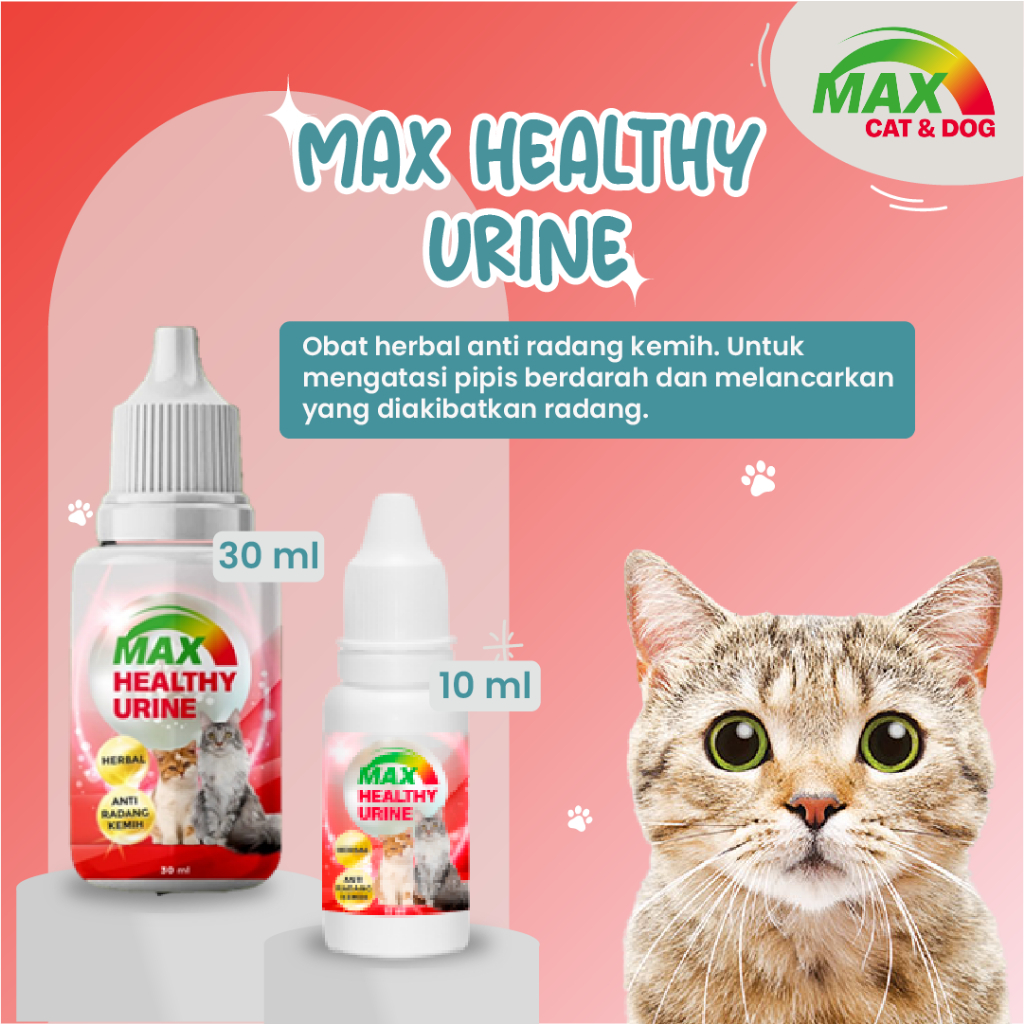 Jual Obat urinary Saluran Kemih Kucing Anjing MAX HEALTHY URINE ...