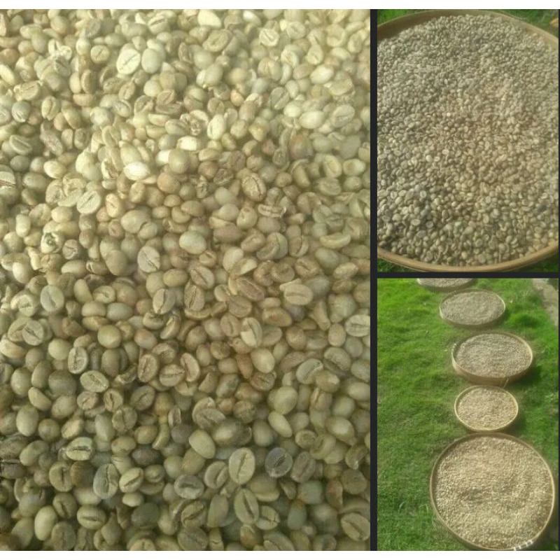 Jual kopi robusta asli Banyuwangi | Shopee Indonesia
