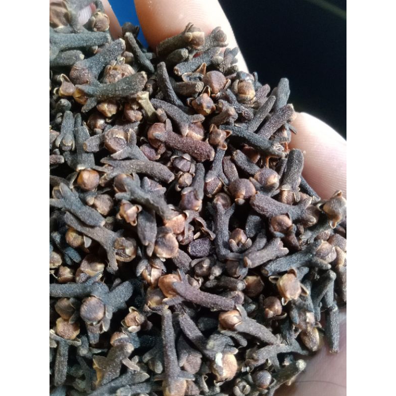 Jual Biji cengkih kering / cengkih bumbu / bumbu rempah / Biji cengkeh ...
