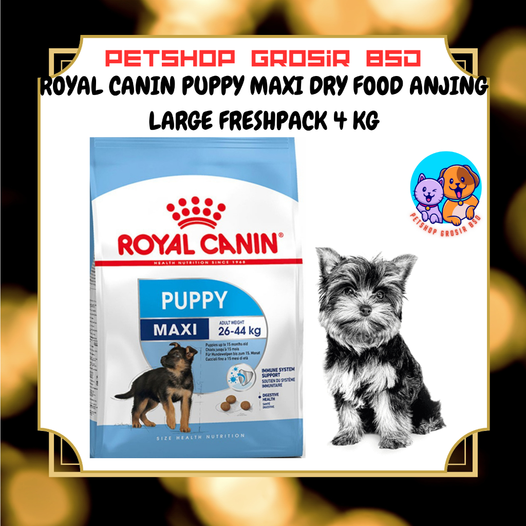 Jual Royal Canin Puppy Maxi 4Kg Anjing 26-44 kg RC Dog Junior 4 kg ...