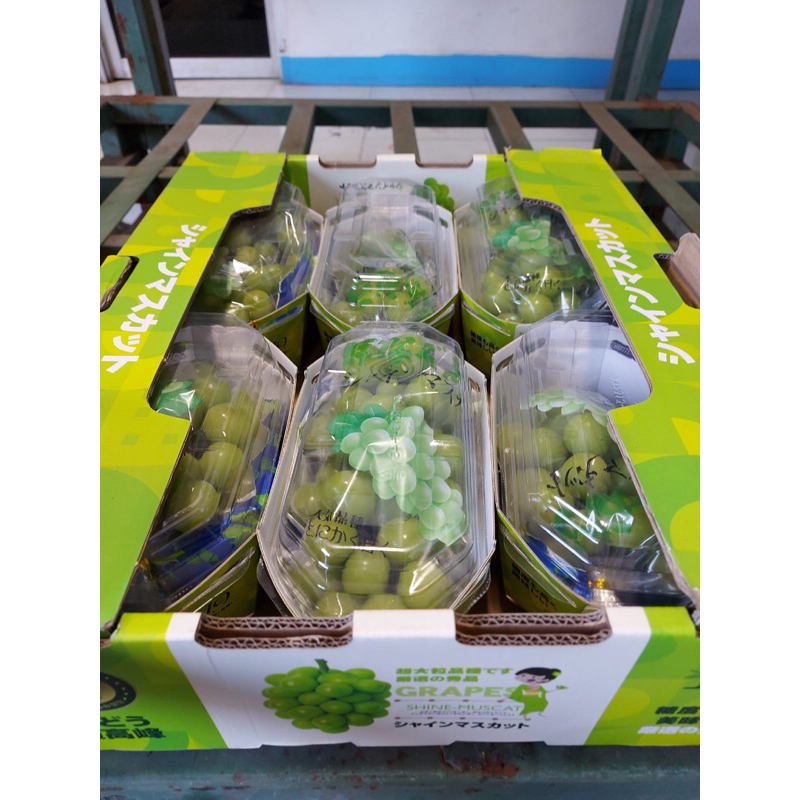 Jual Anggur Shine Muscat Premium XL berat 500 gr / pack | Shopee Indonesia