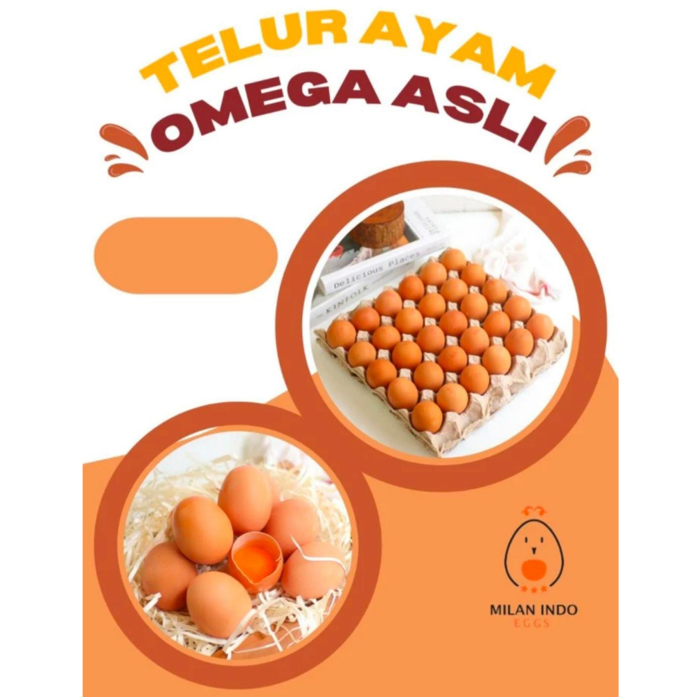 Jual Telur Ayam Omega 3 Asli Segar Grade A Premium 30 butir (1 tray ...