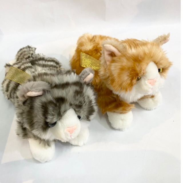 Jual Boneka Kucing cat Lying Catty 10' free sisir by seulgi (05020878 ...