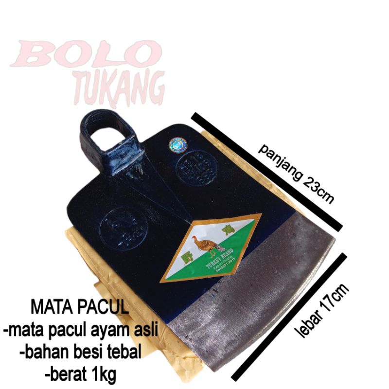 Jual MATA PACUL AYAM ASLI | Shopee Indonesia