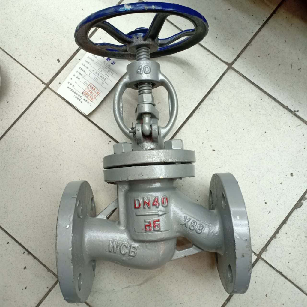 Jual Globe Valve 2inch DN50 PN16 J41H-16C Katup Valve | Shopee Indonesia