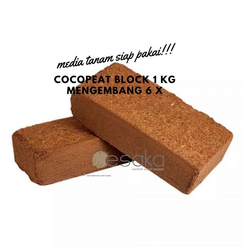 Jual OESAKA COCOPEAT BLOCK 1 KG KUALITAS SUPER - SUPER MENGEMBANG MEDIA ...