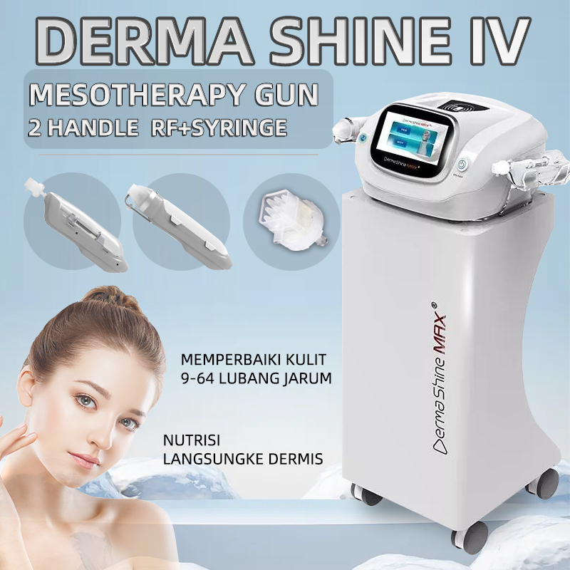 Jual Korea dermashine pro mesogun mesotherapy IV skinbooster 2 pegangan ...
