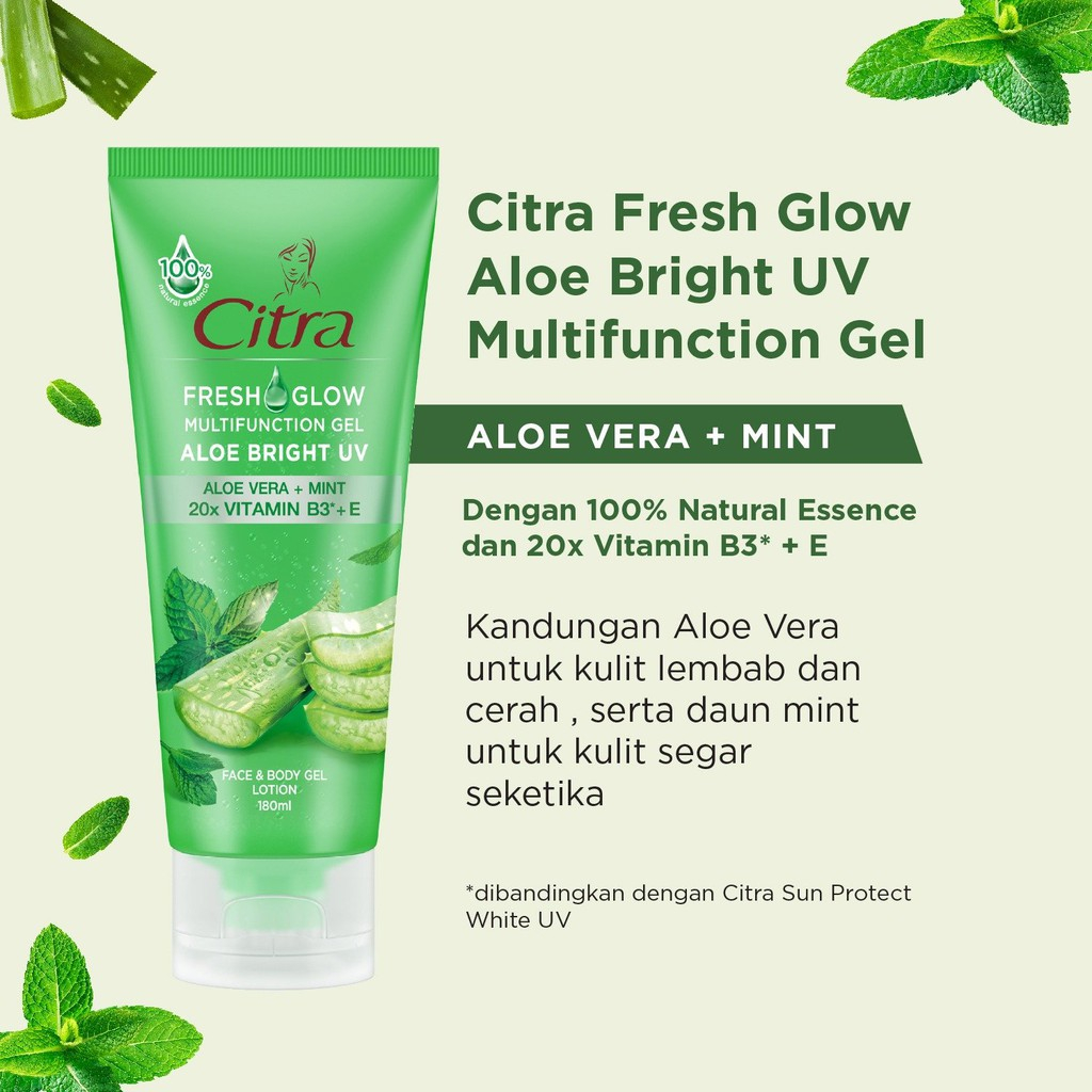 Jual Citra Fresh Glow Aloe Vera + Mint Multifunction Gel Aloe Bright UV ...
