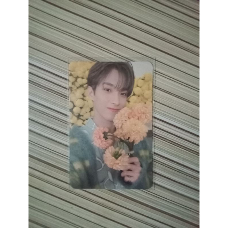 Jual Official Photocard PC Dokyeom Seventeen Your Choice One Side ...