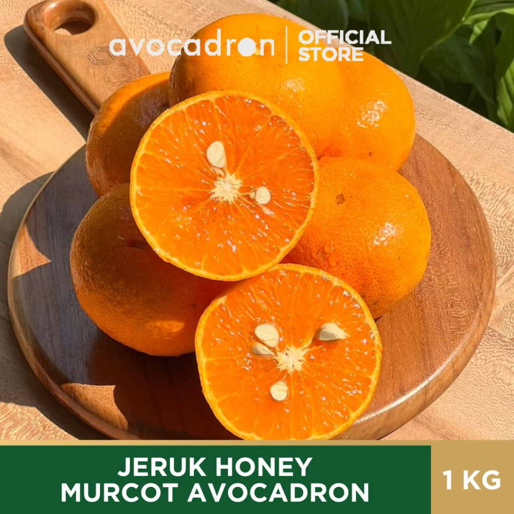 Jual JERUK HONEY MURCOT AVOCADRON | Shopee Indonesia