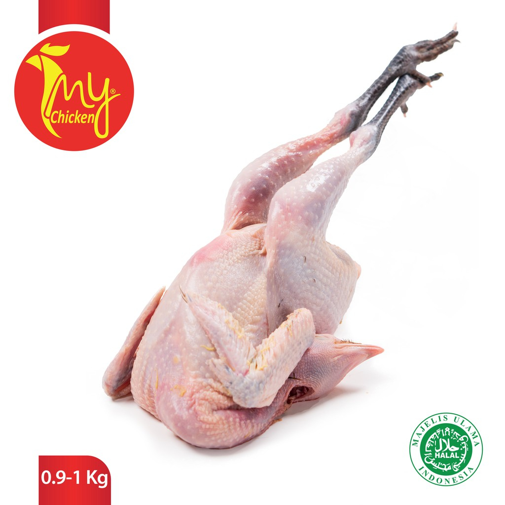 Jual Ayam Kampung Utuh My Chicken 0,8kg | Shopee Indonesia