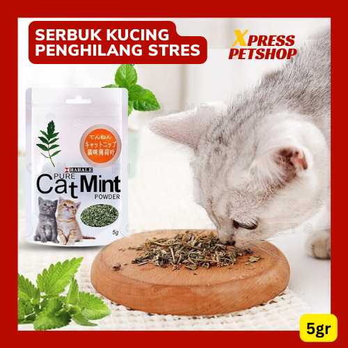 Jual Catmint Catnip Serbuk Penghilang Stres & Penenang Kucing Cat mint ... Jual Catmint Catnip Serbuk Penghilang Stres & Penenang Kucing Cat mint ...