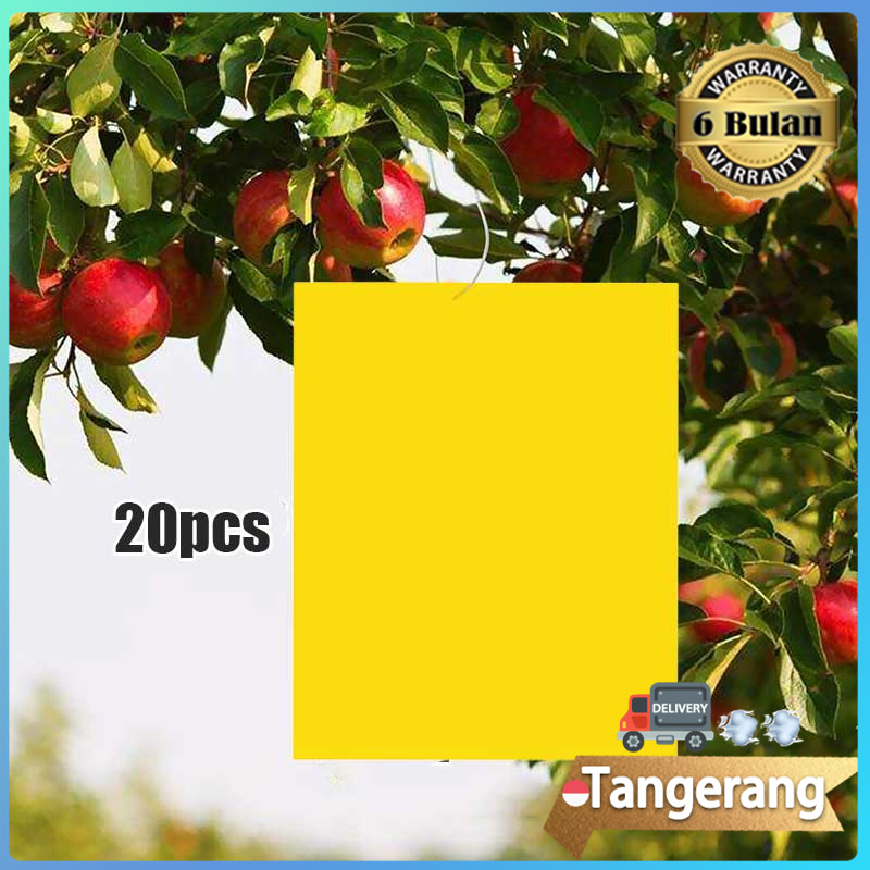 Jual 20pcs/Bag Yellow Trap Perangkap Hama Lem Perekat Lalat Buah Likat ...
