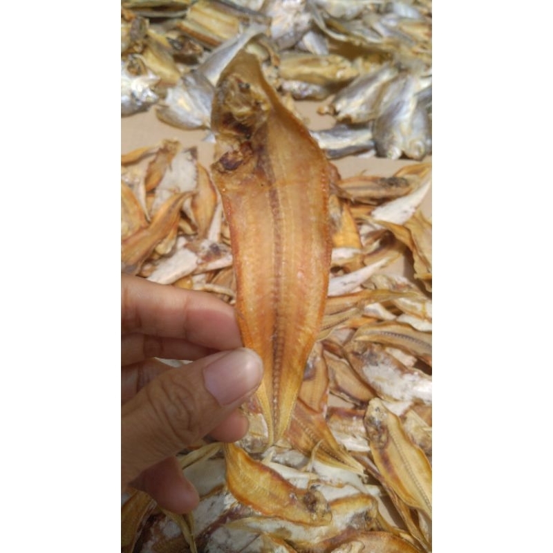 Jual Ikan Asin Lendra asli cilacap berat 100 gram(1 ons) | Shopee Indonesia