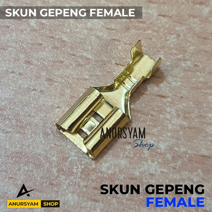Jual [150] Terminal Skun Gepeng Female Gold | Shopee Indonesia