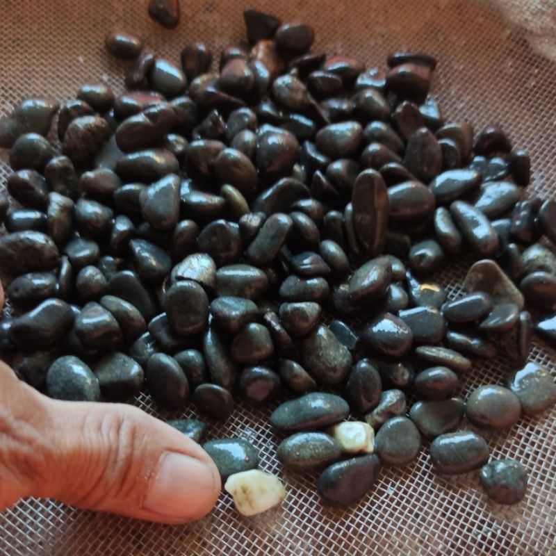 Jual batu hiasan aquarium taman batu alor 500 gram | Shopee Indonesia
