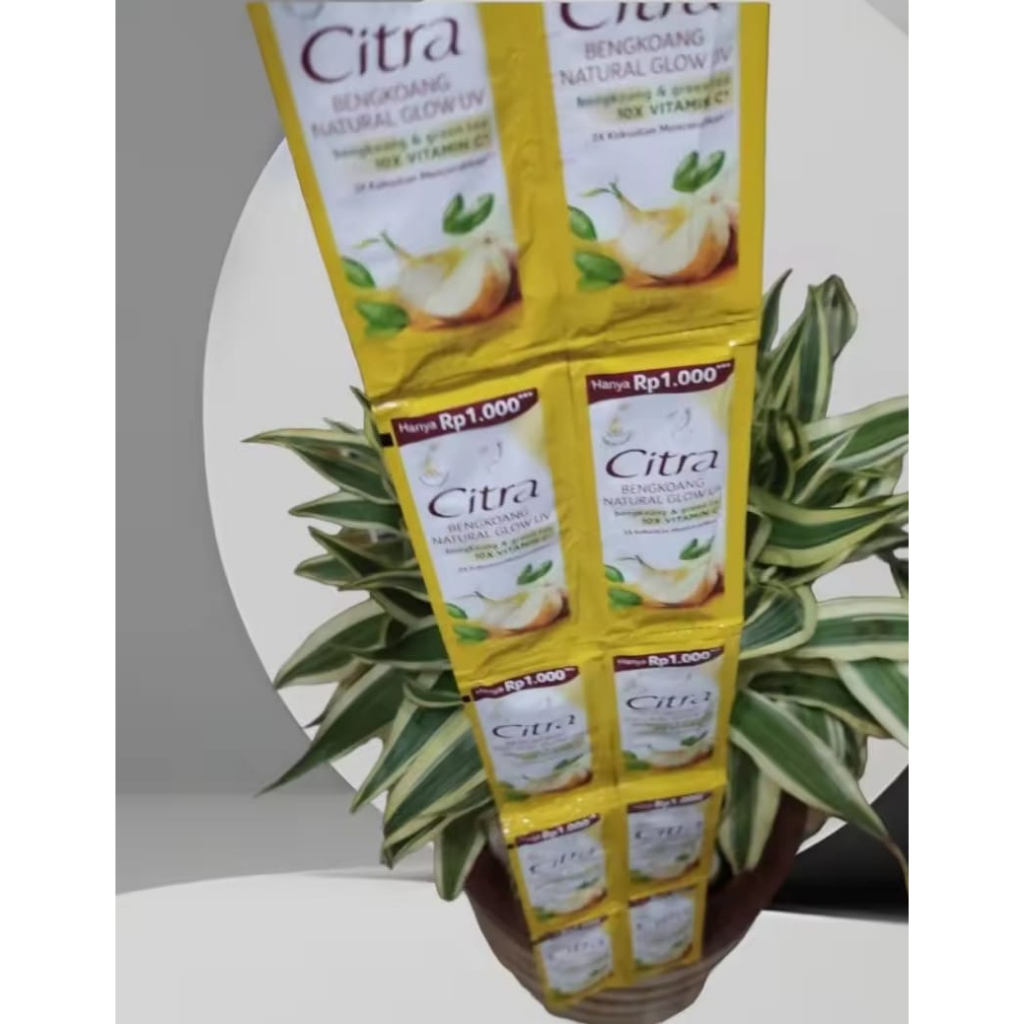 Jual CITRA Bengkoang Natural Glow Uv Hand Body Lotion Sachet 9ml ...