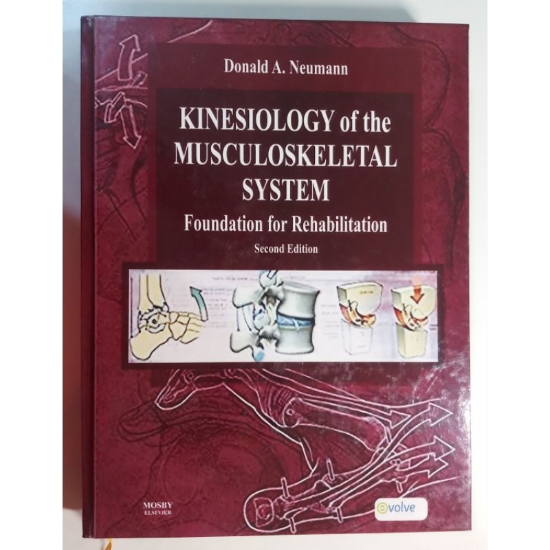 Jual Kinesiology of the Musculoskeletal System 2nd Edition (Buku ...