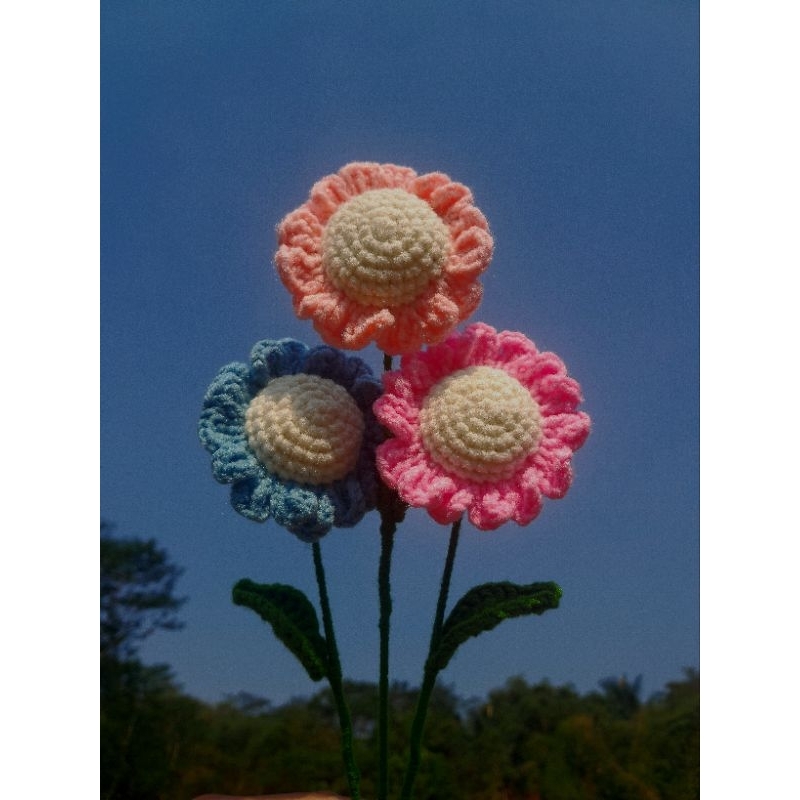 Jual Bunga Daisy Color Series / Bunga Daisy Rajut / Bunga Daisy ...
