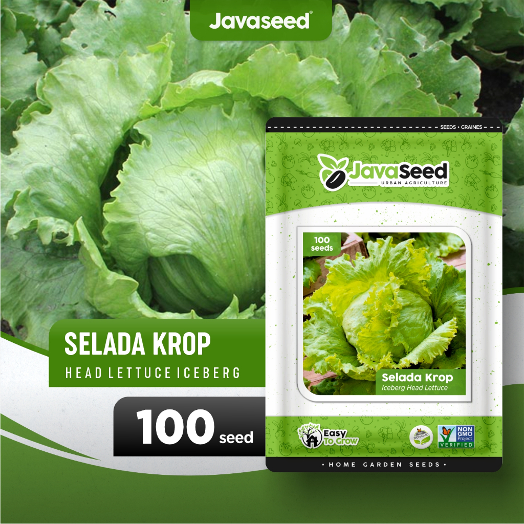 Jual JAVASEED - Benih Selada Krop Green Head Lettuce 100 Benih | Shopee ...