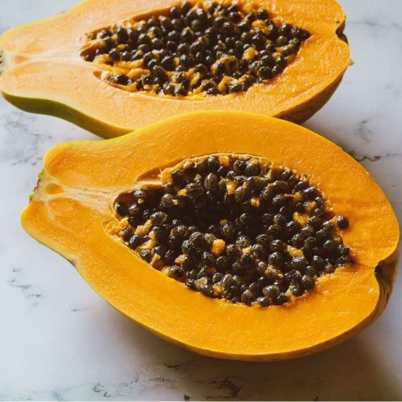 Jual Benih bibit kates pepaya gantung lokal isi kuning manis daun lebar ...