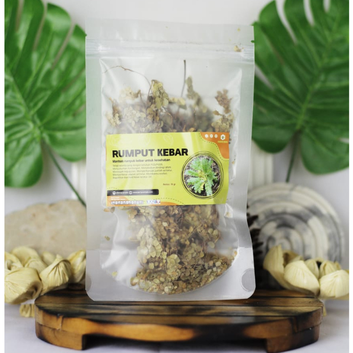 Jual Rumput Kebar Asli Papua 10gr / Promil/Kesuburan Wanita | Shopee ...