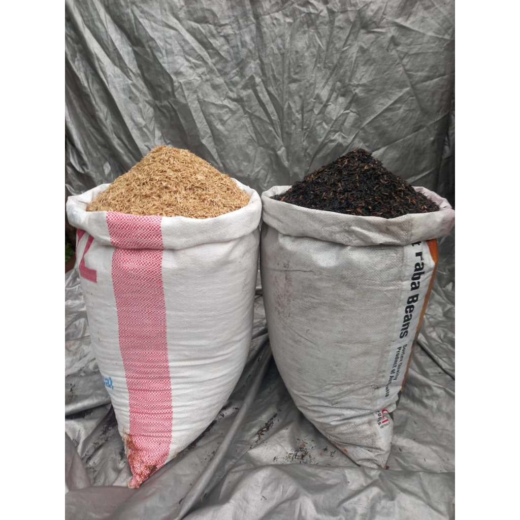 Jual SEKAM PADI MURNI & SEKAM BAKAR (Repack 500 gram) | Shopee Indonesia