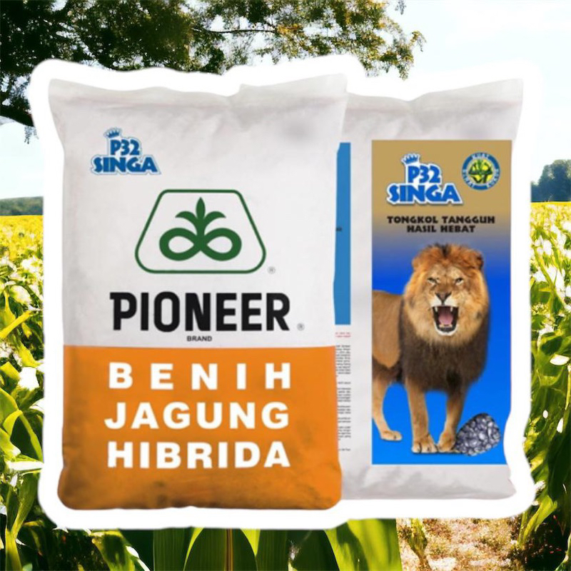 Jual P32 SINGA 1 KG | Shopee Indonesia