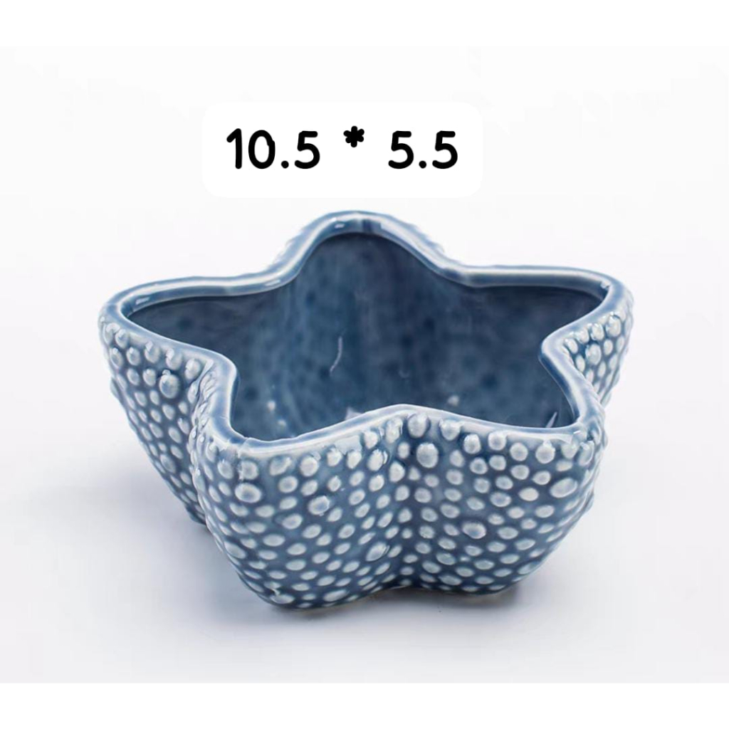 Jual Pot Keramik Tema Ocean (pilih varian) | Shopee Indonesia