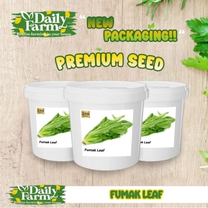 Jual Benih Sayur Fumak Leaf - Selada Wangi ( 250 Grm ) | Shopee Indonesia