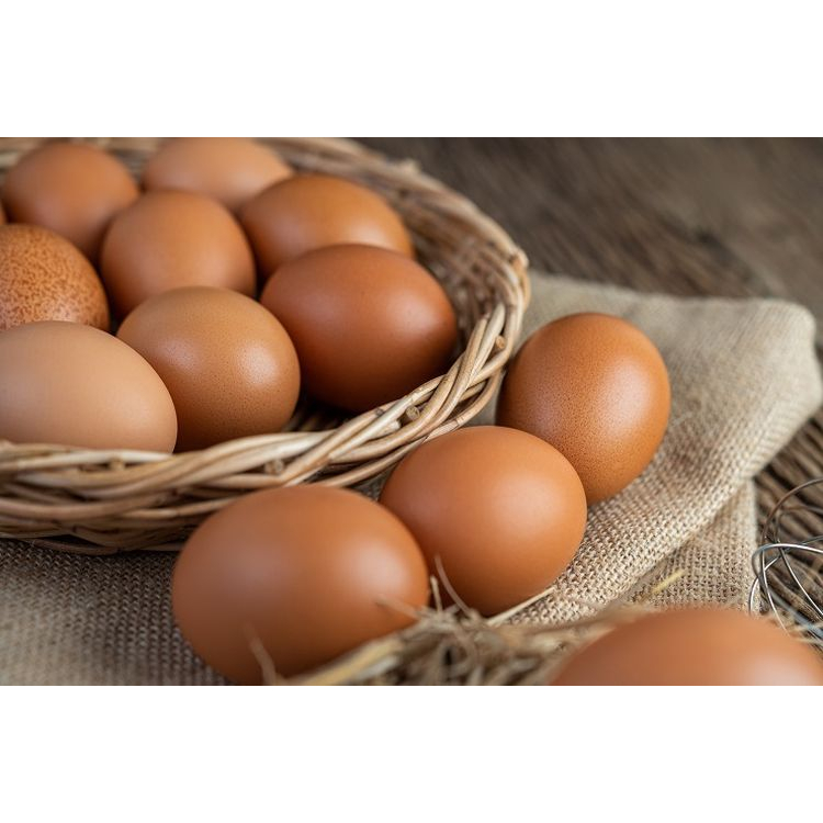 Jual Telur Ayam (Kg) | Shopee Indonesia