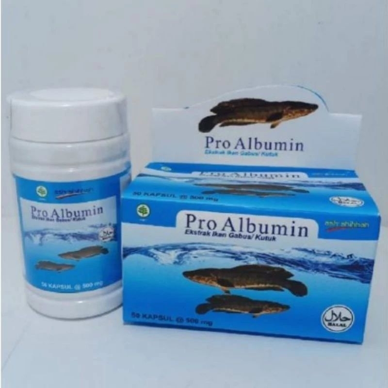 Jual PRO ALBUMIN KAPSUL EKSTRAK IKAN GABUS 50 KAPSUL | Shopee Indonesia