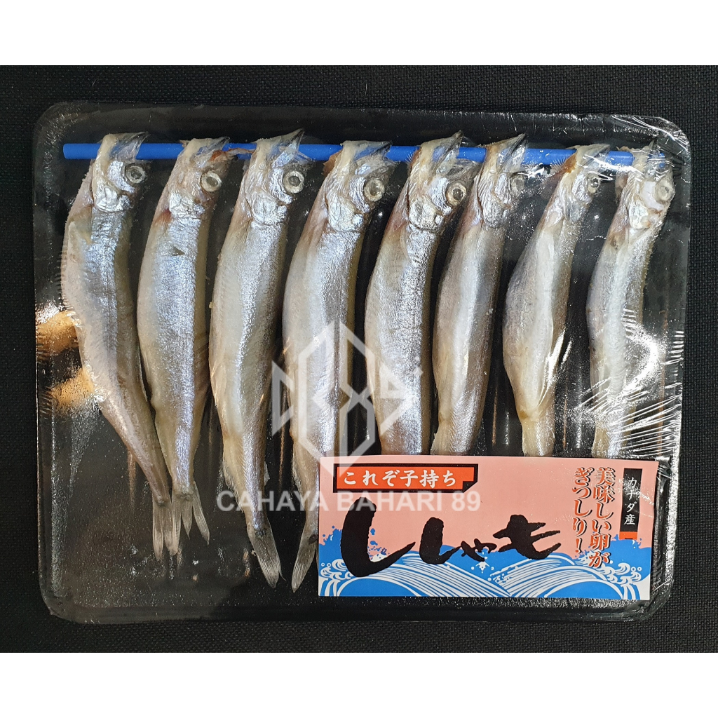 Jual Ikan Shisamo Capelin / Ikan Telor Jepang Premium | Shopee Indonesia