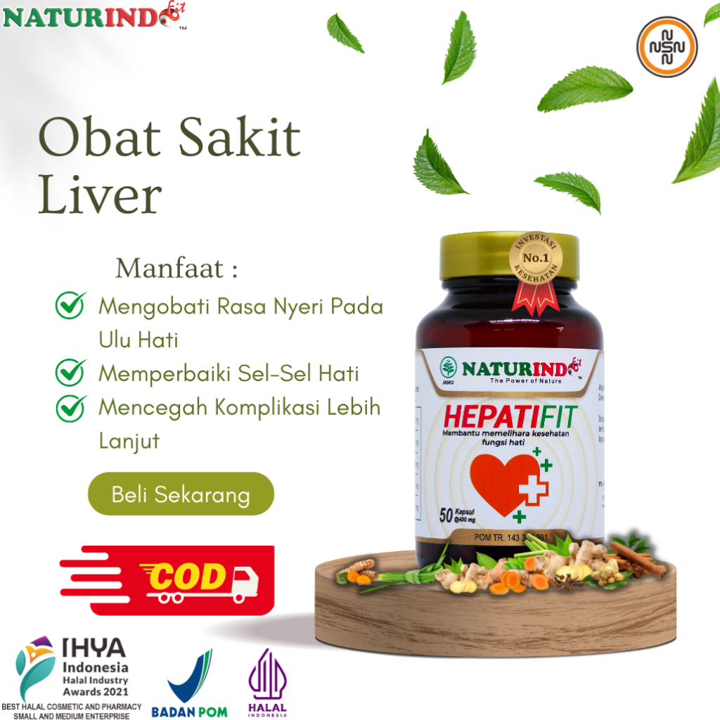Jual Obat Liver Herbal Alergi Dingin Dan Panas Biduran Biang Keringat ...