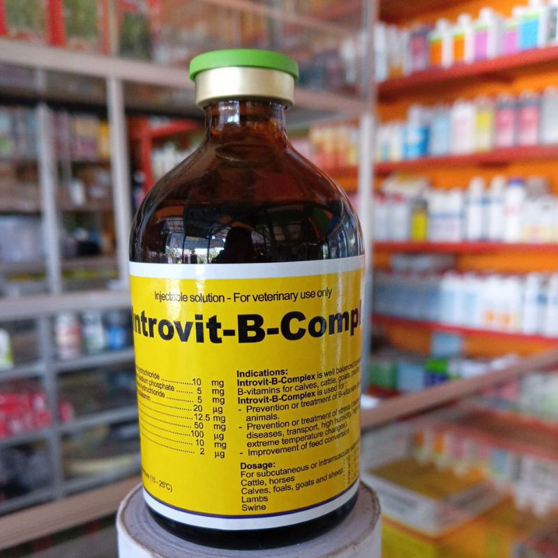Jual Introvit-B Complex 100ml membantu mempercepat proses pemulihan ...