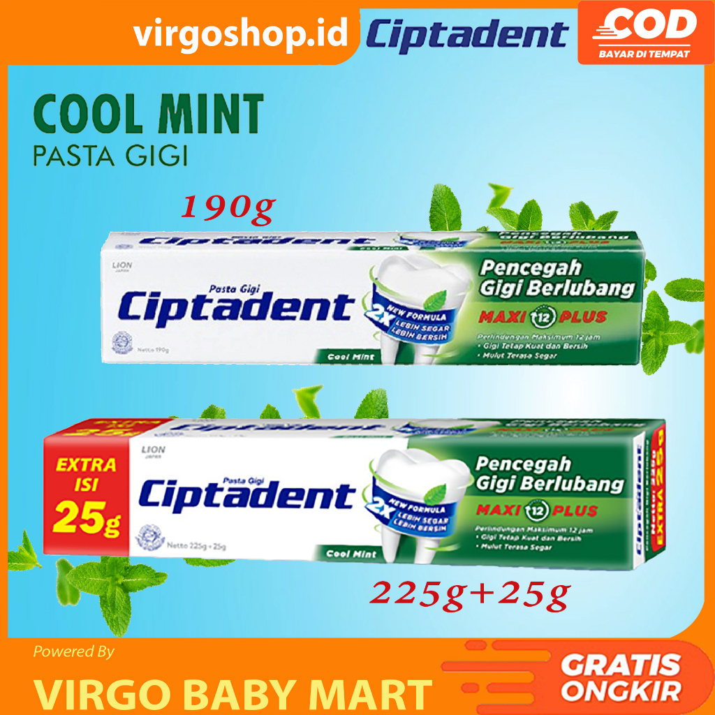 Jual Ciptadent Toothpaste Maxi 12 Plus Cool Mint Odol Pasta Gigi Dewasa ...