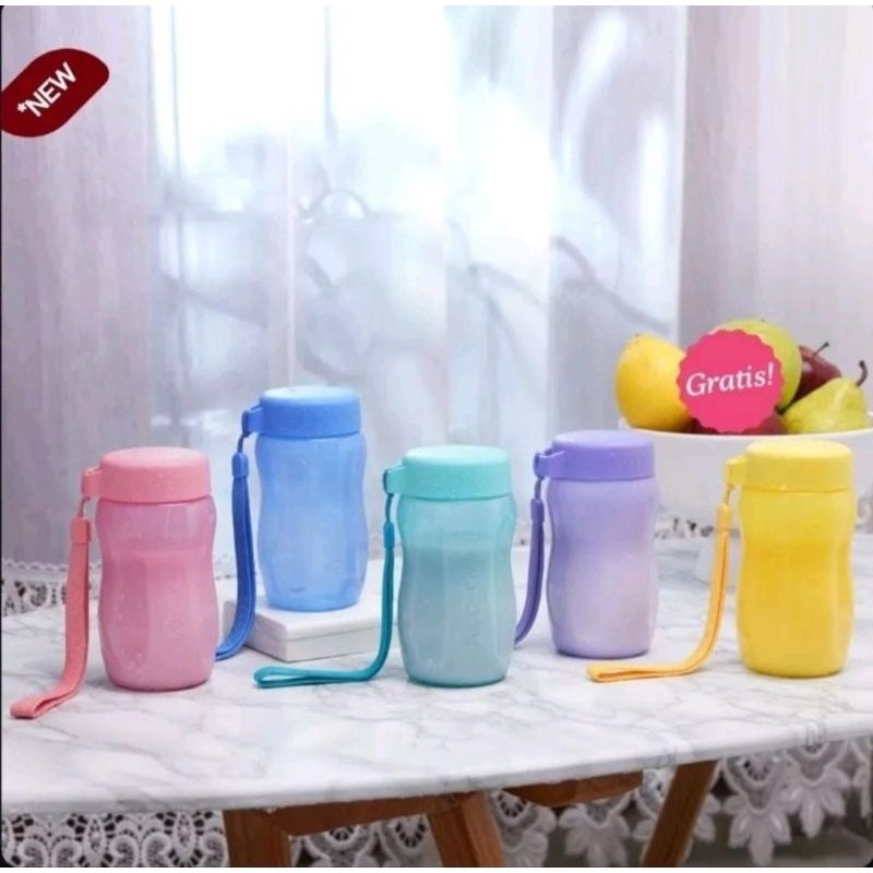 Jual eco 310 ulir tupperware | Shopee Indonesia
