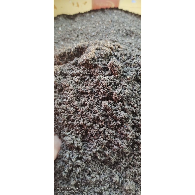 Jual pupuk kascing 1 kg / pupuk organik pilihan pak tanii | Shopee ...